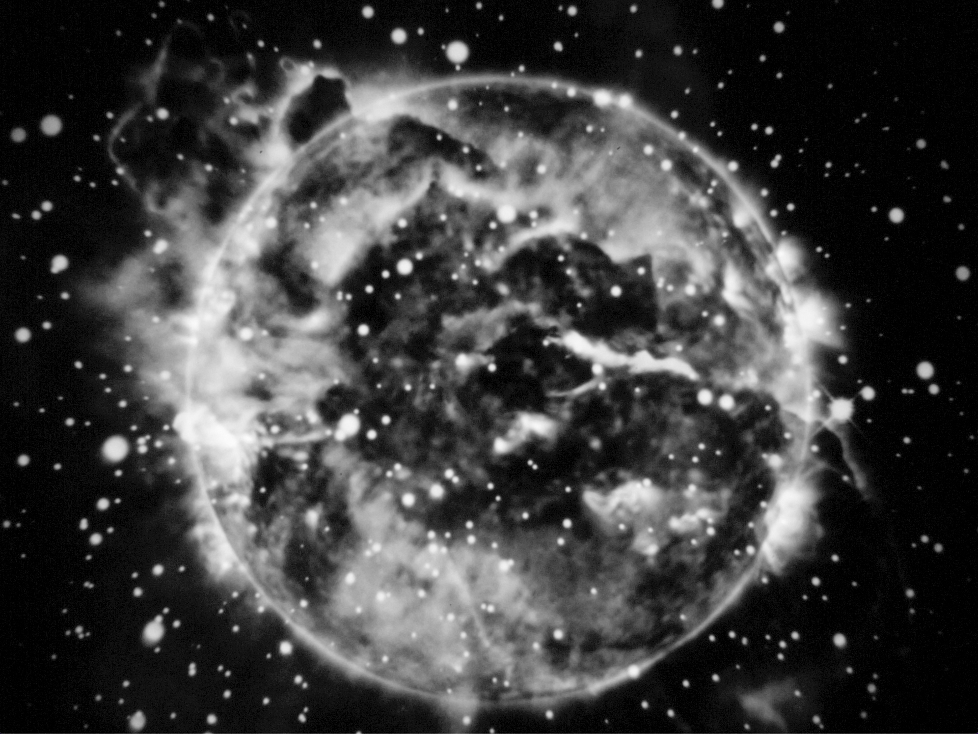 Canyon Cinema : Now Available: New Films by Dominic Angerame