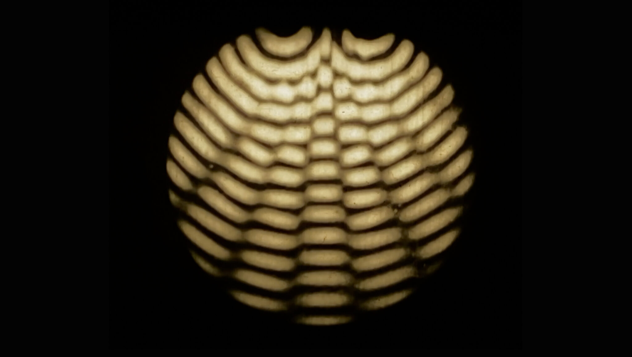 Canyon Cinema : Now Available: Brice Bowman’s Museum Closed