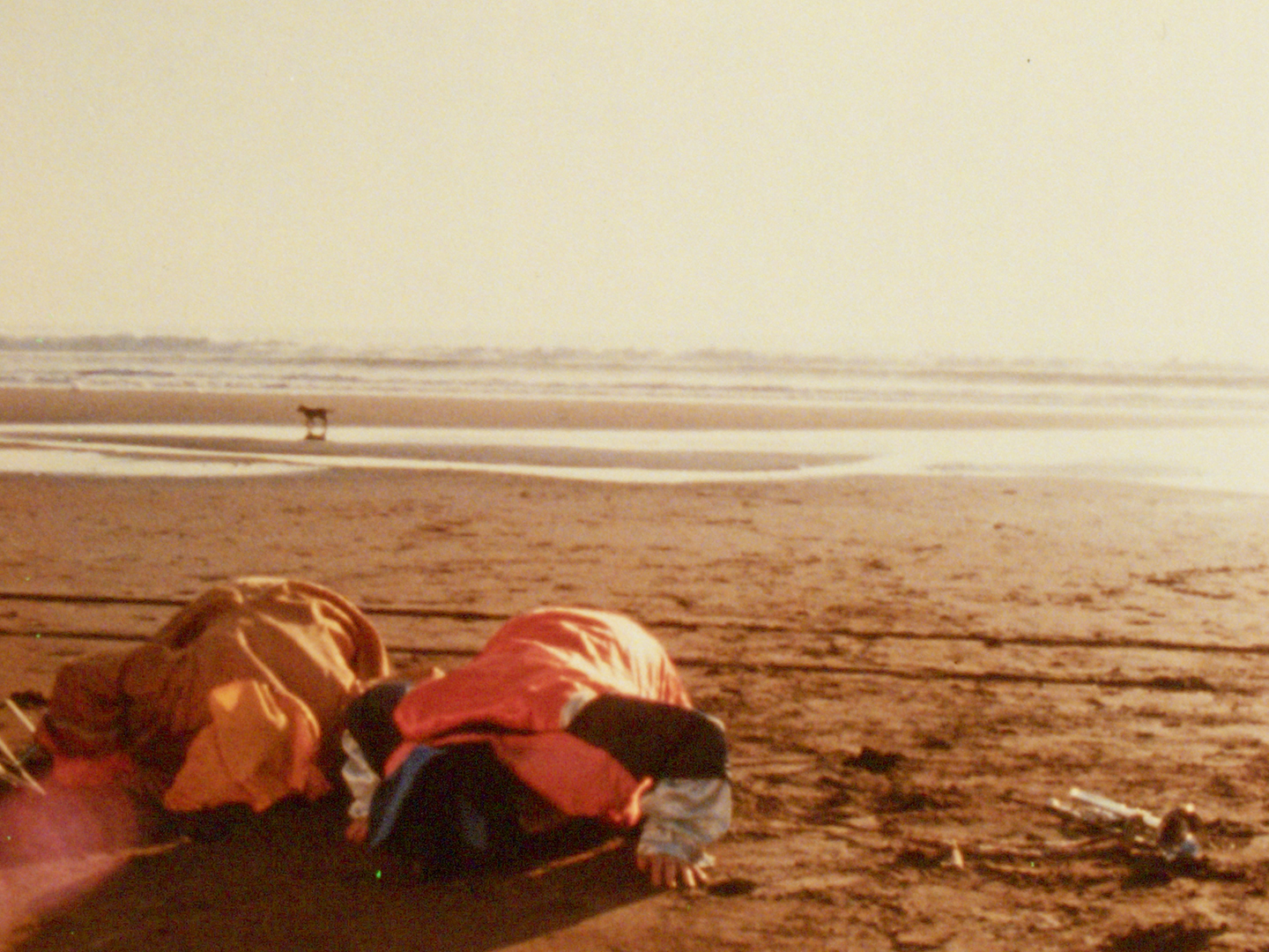 Canyon Cinema : Now Available: New Digital Files of Nine Films by James ...