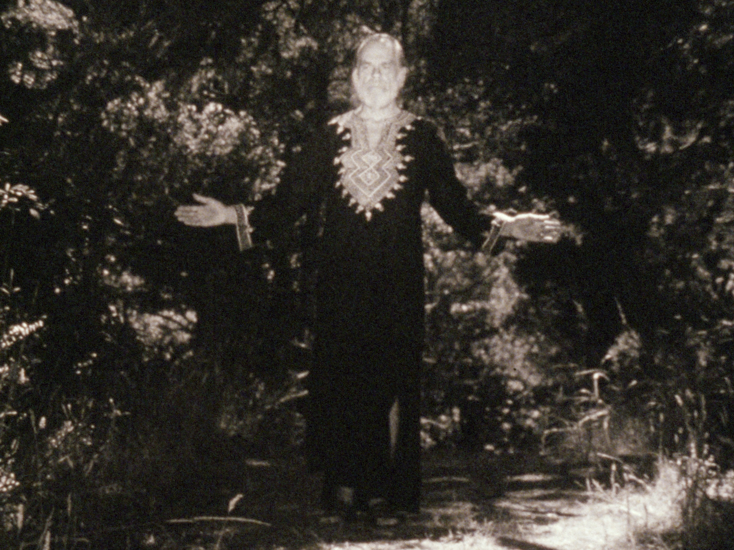 Canyon Cinema : Now Available: New Digital Files of Nine Films by James ...