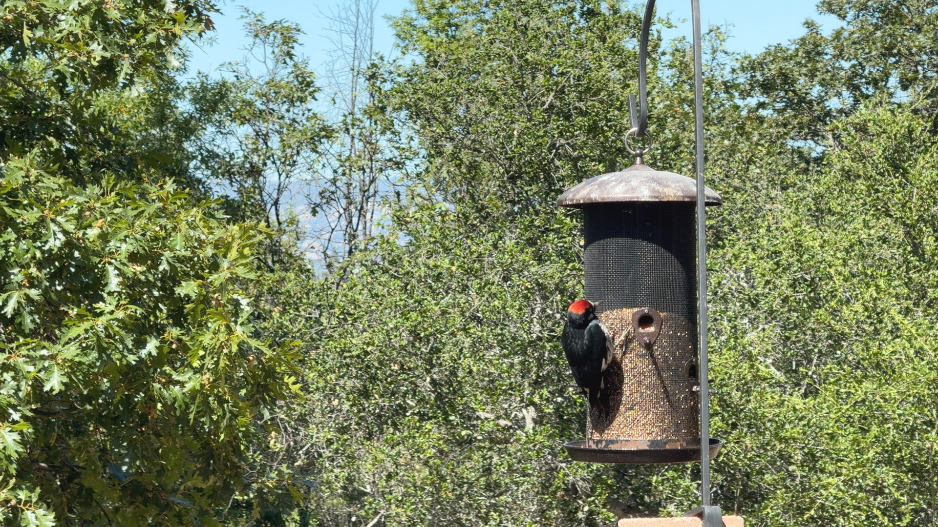 Canyon Cinema : Now Available: Two New Videos by Toney W. Merritt