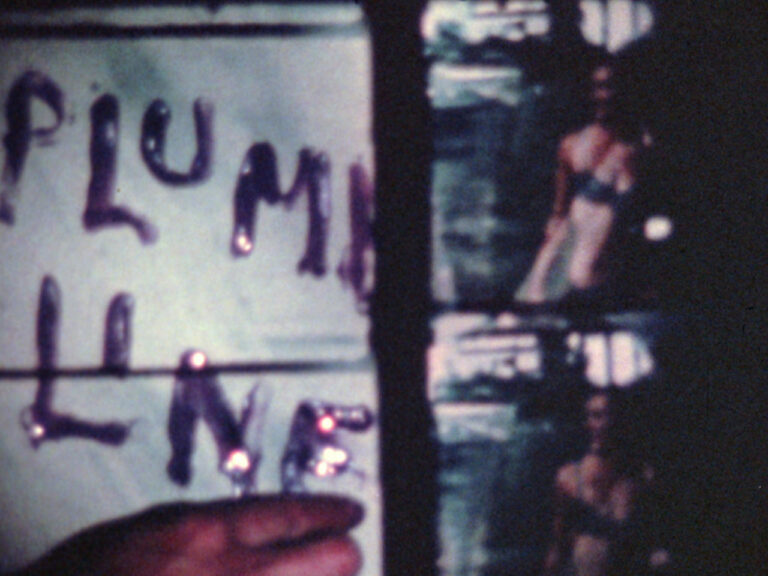 Canyon Cinema : Now Available: New 16mm Preservation Print of Carolee ...