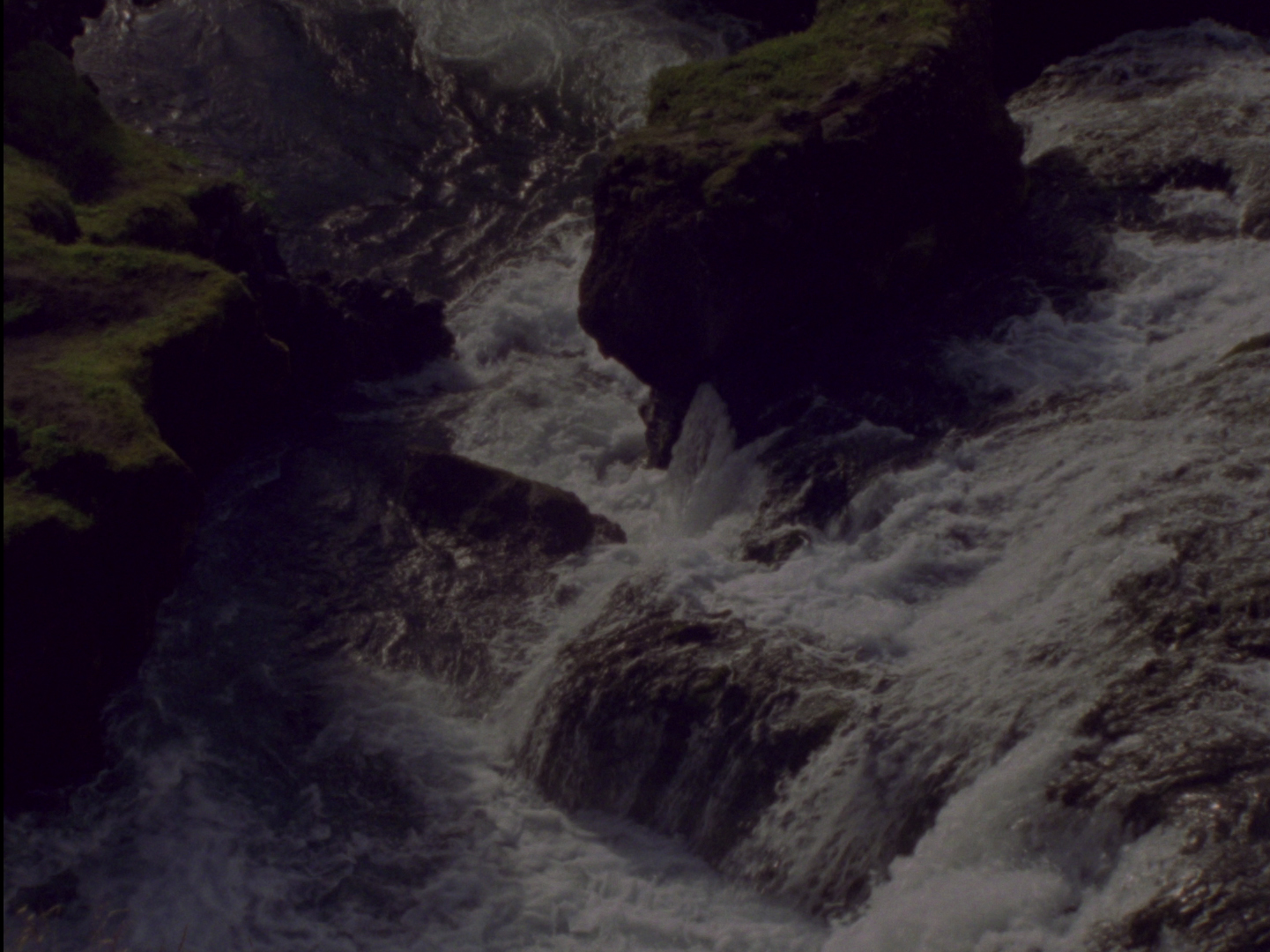 Canyon Cinema : Newly available Robert Todd prints and files