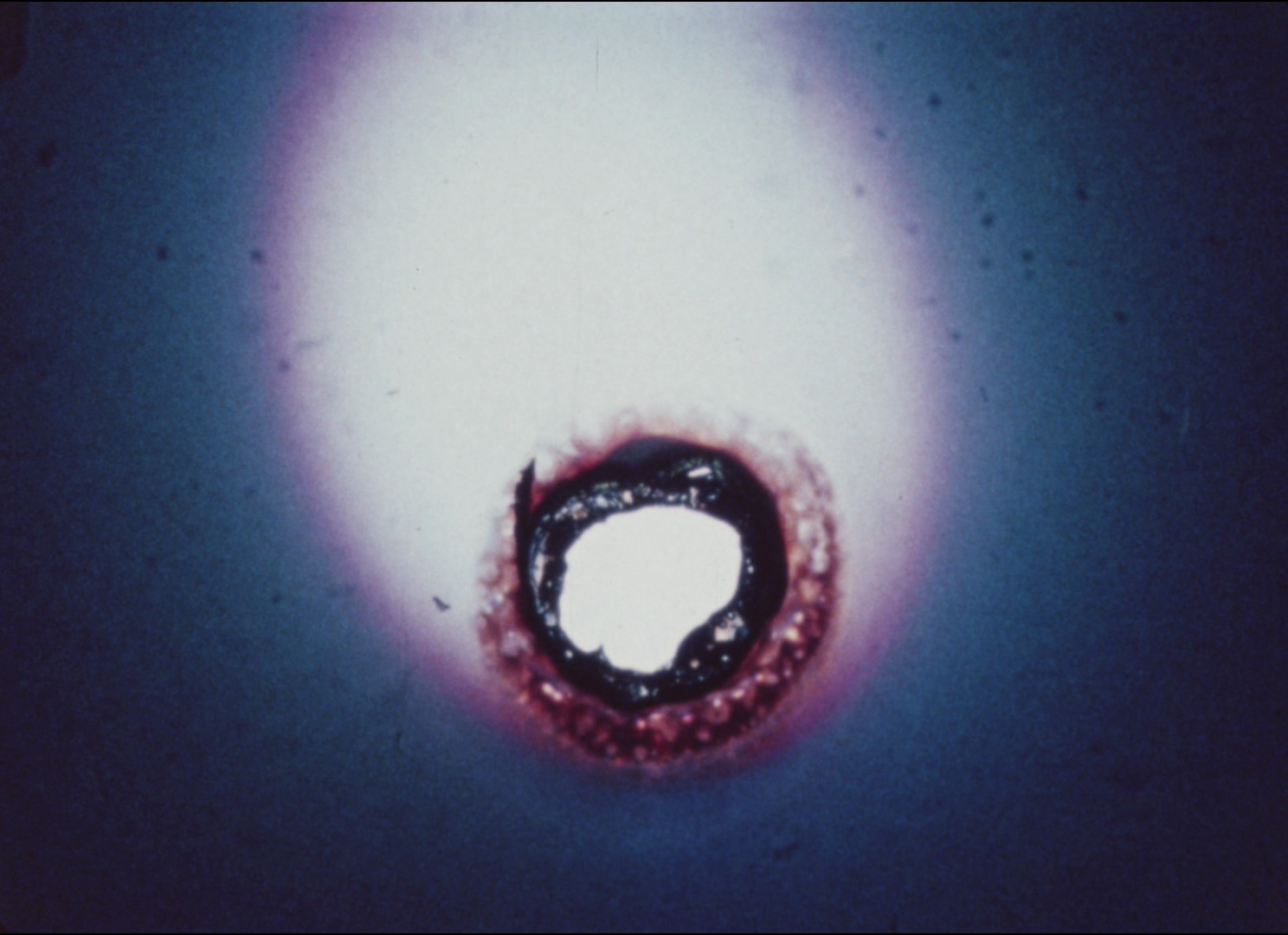 Canyon Cinema : Canyon Cinema presents Al Wong: Still Moving, August 27 ...