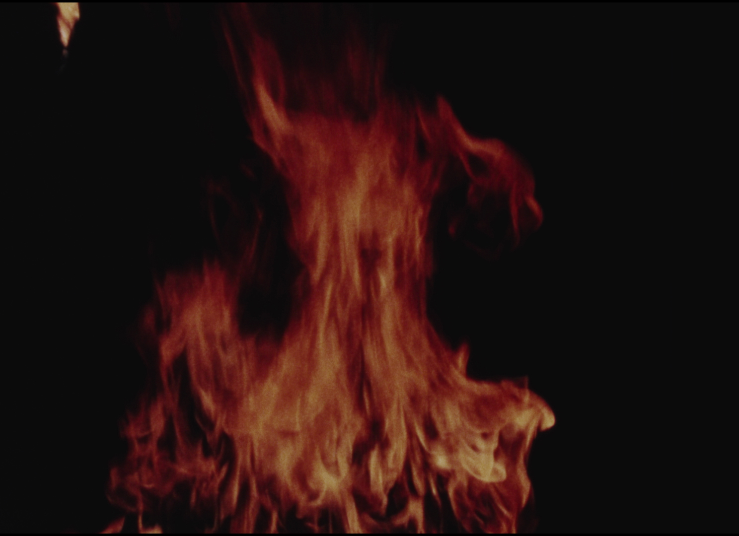 Canyon Cinema : Now Available: Three Works by Al Wong